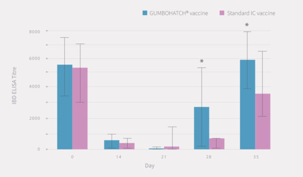 Improvements in Gumboro disease with immune complex vaccines