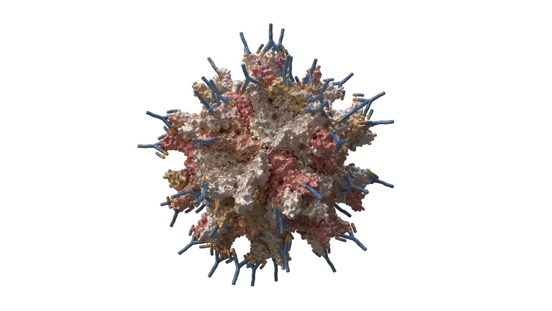 IBD Chicken Disease Library | Gumboro Prevention