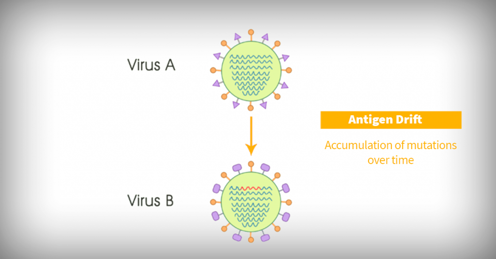 Evolution of IBDV. What to expect in the coming years?