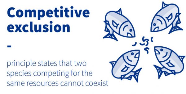 Competitive exclusion in the bursa of Fabricius: IBD prevention