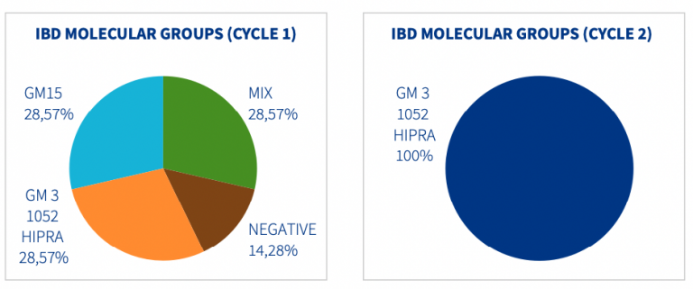 New generation immune complex vaccine displaces IBDV variant strains