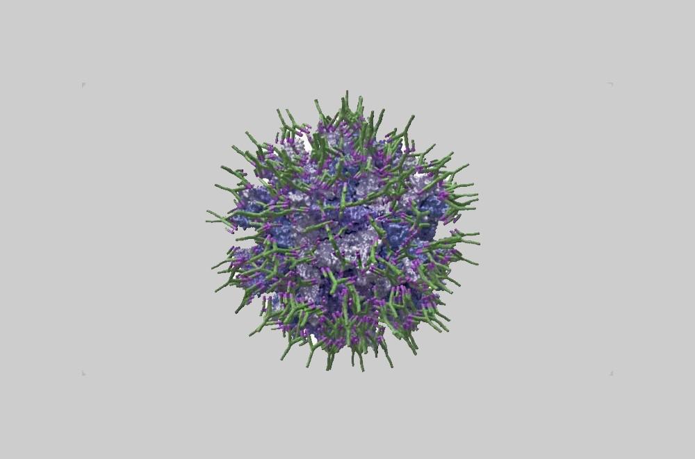 Gumboro variant IBDV strains from different countries
